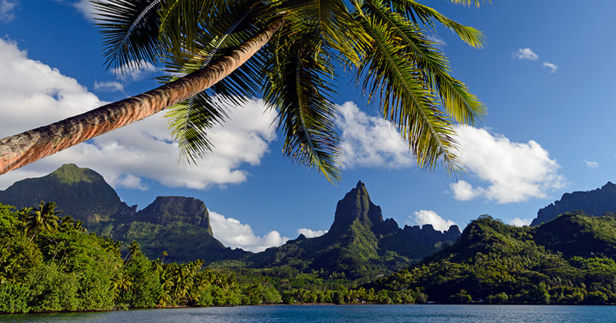 Las mejores cosas que puede hacer en Moorea | Air Tahiti Nui