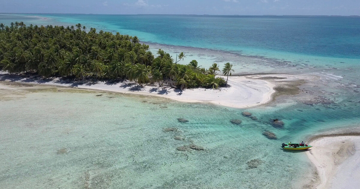 Tiare Tour | Air Tahiti Nui